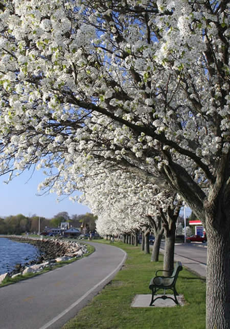 My Backyard is a Free Attleboro Newspaper&Classifieds Covering Local ...