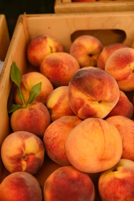 NATIVE PEACHES NOW! – My Backyard News